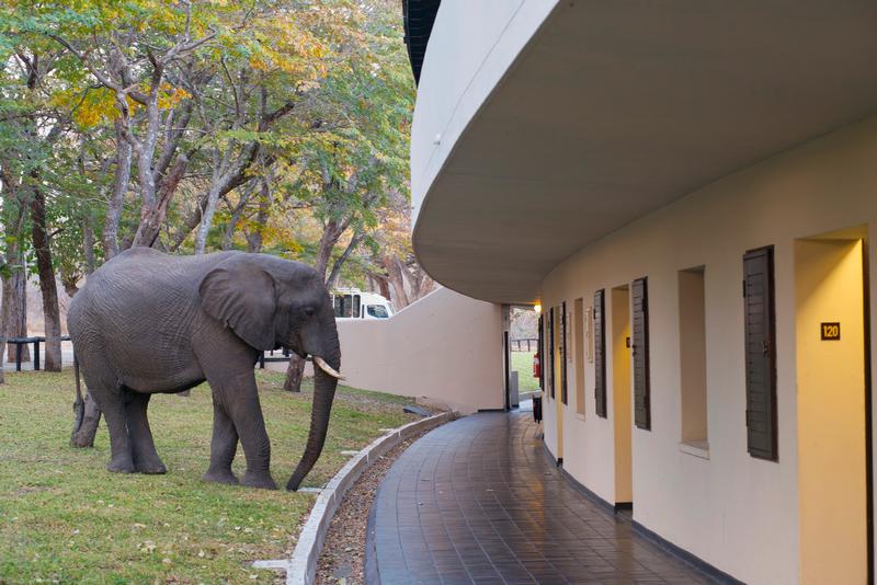 Zimbabwe: Falls & Elephants (Accommodated) sample itinerary - 6D/5N